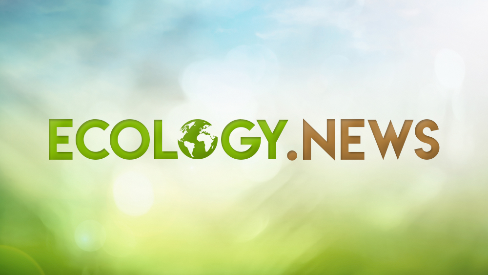 Ecology News | Ecology News – Ecology Information